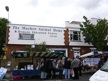 ドッグトレーナーのひとりごと | Mayhew Animal Home – Open Day